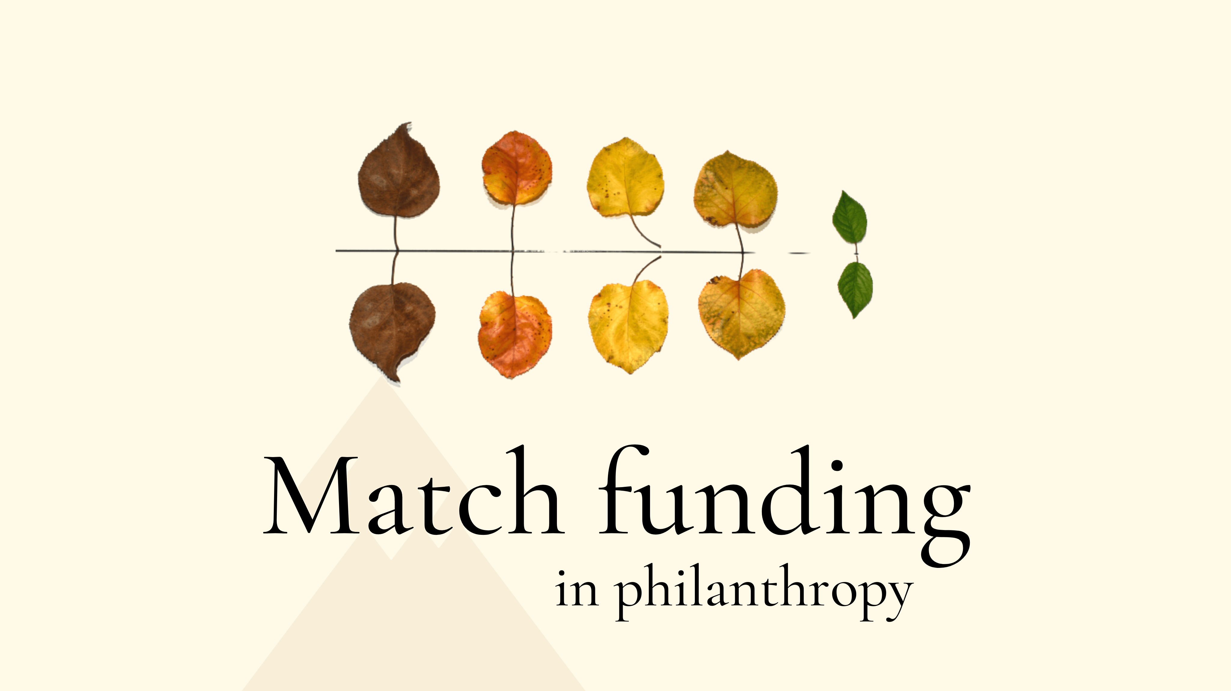 Why Match Funding Works For Philanthropy | Beacon Collaborative